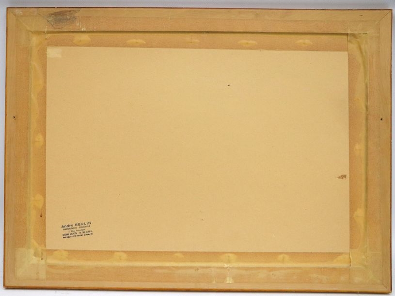 Boris Riab | Épagneul à la bécasse. | MutualArt