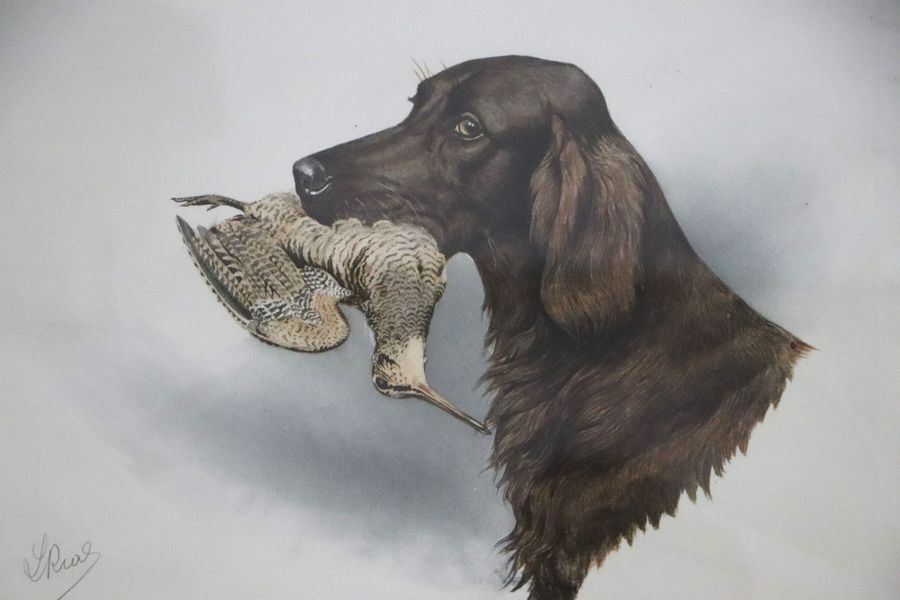 Boris Riab | Épagneul à la bécasse. | MutualArt