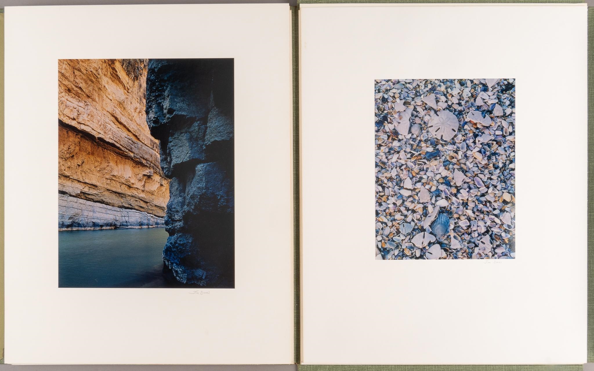 Jim Bones | Portfolio | MutualArt