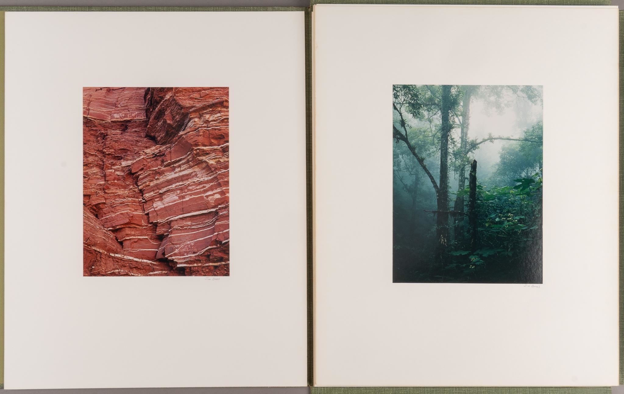 Jim Bones | Portfolio | MutualArt