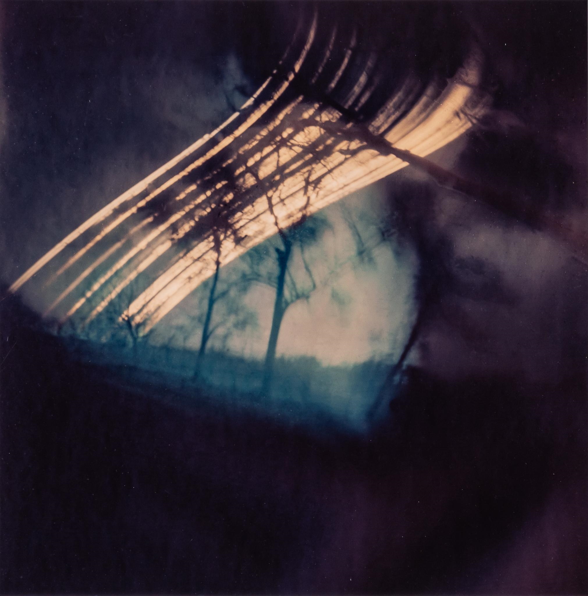 Bill Wittliff | Hula Dawn | MutualArt