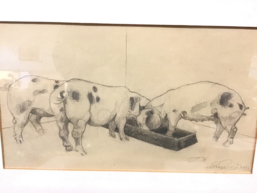 Vicki Hopkinson | study of pigs at trough | MutualArt