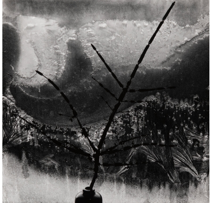 Minor White | Ritual Branch (1958) | MutualArt