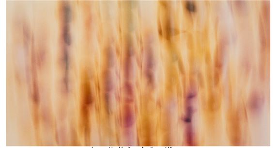 George Nan | Biography