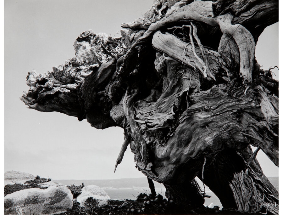 Minor White | Big Dome (1948) | MutualArt