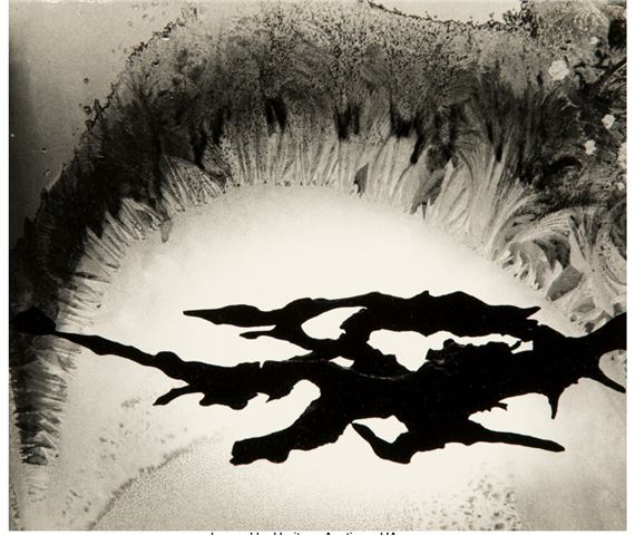 Minor White | Root and Frost (1958) | MutualArt
