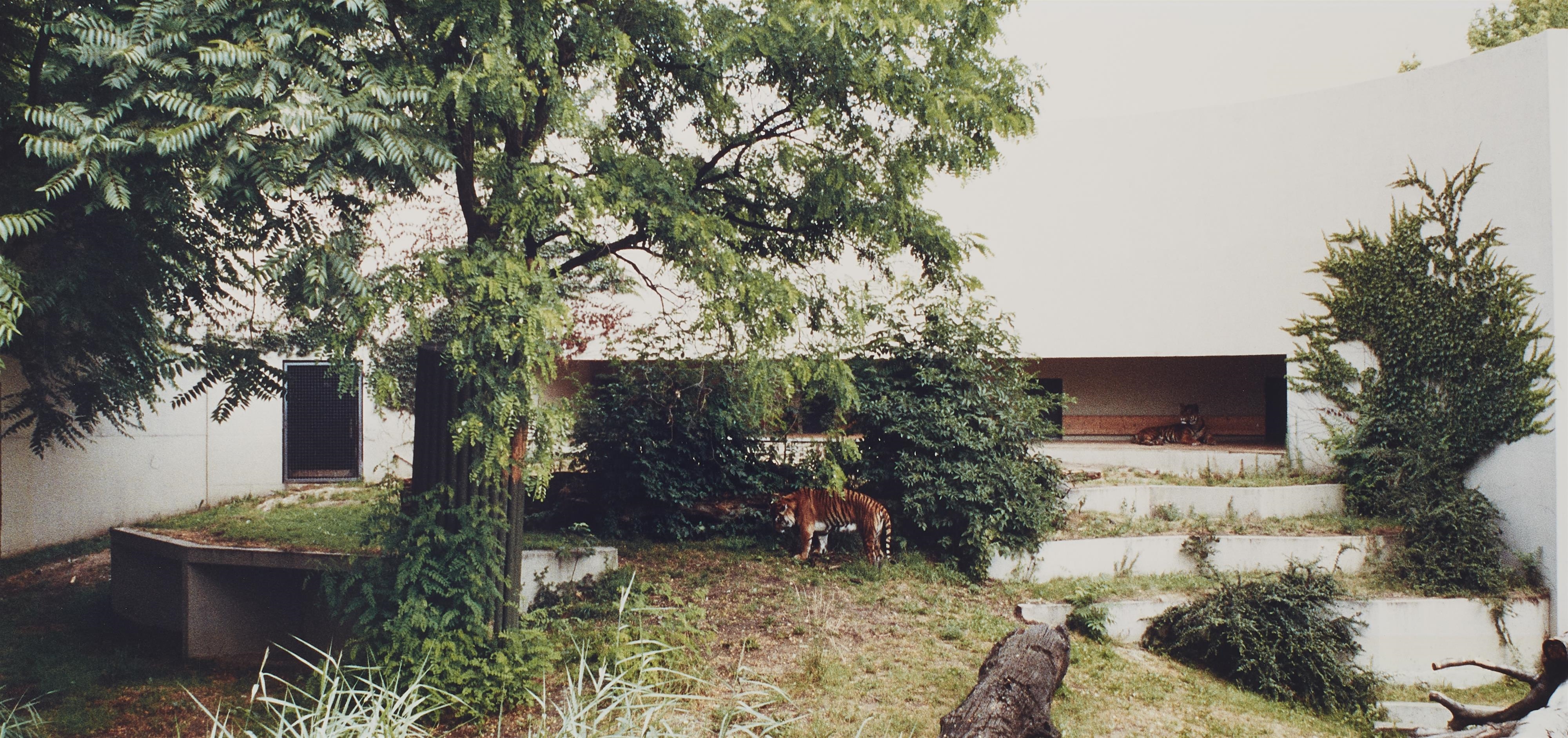 Candida Höfer | Zoologischer Garten Stuttgart I (1991) | MutualArt