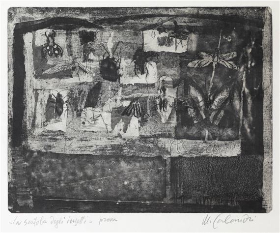 Mario Calandri | La scatola degli insetti (1962) | MutualArt