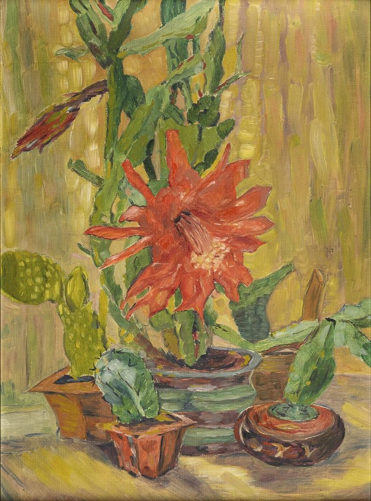 Anna Gasteiger | Still Life with Cacti | MutualArt