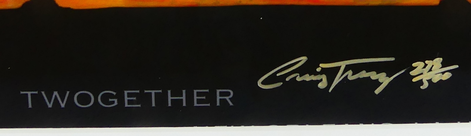 Craig Tracy | TWOGETHER | MutualArt