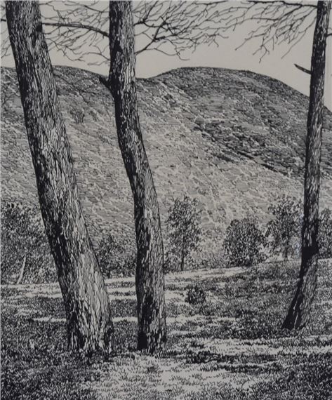Alfred Wainwright | Grizedale | MutualArt