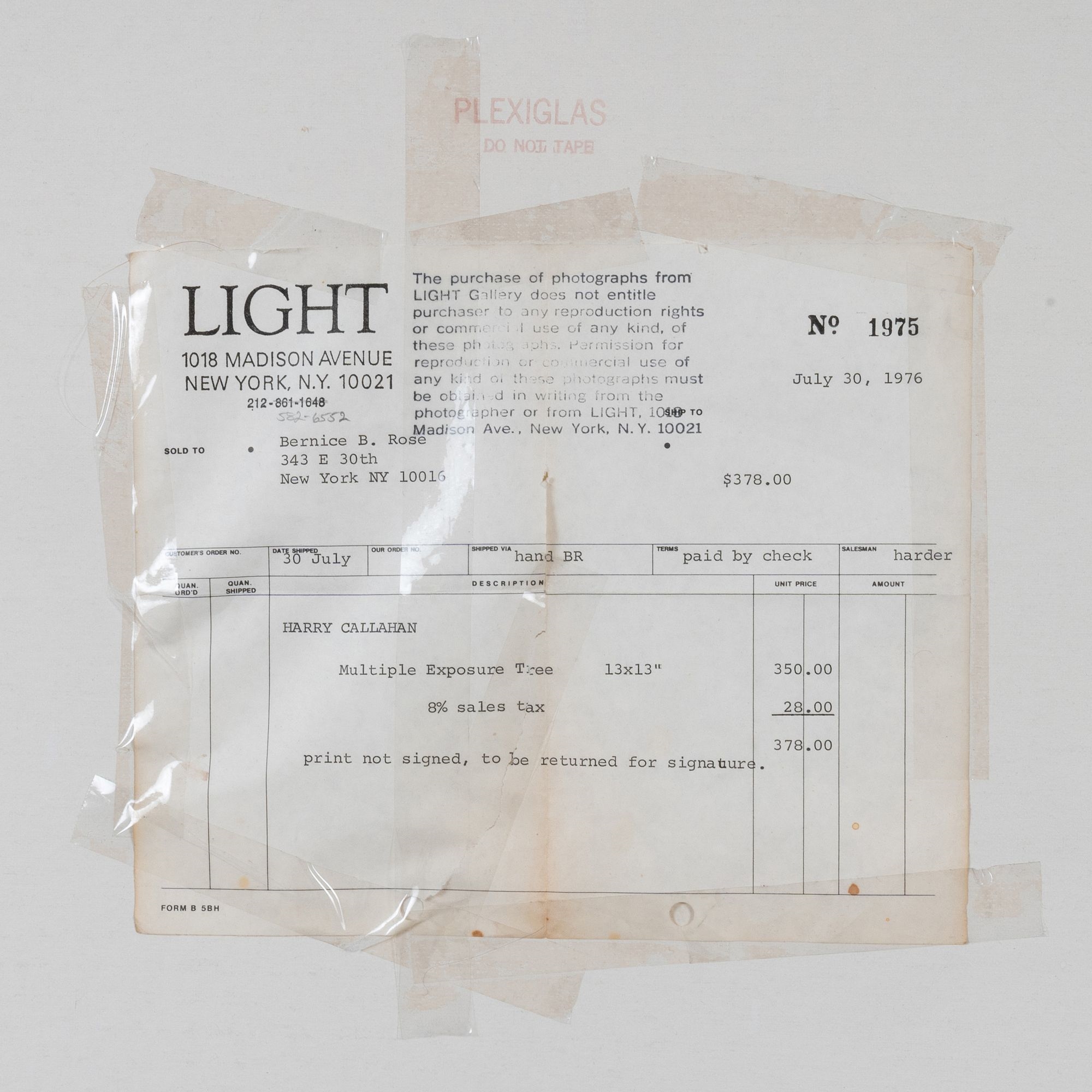 Harry Callahan | Multiple Exposure Tree (1956) | MutualArt