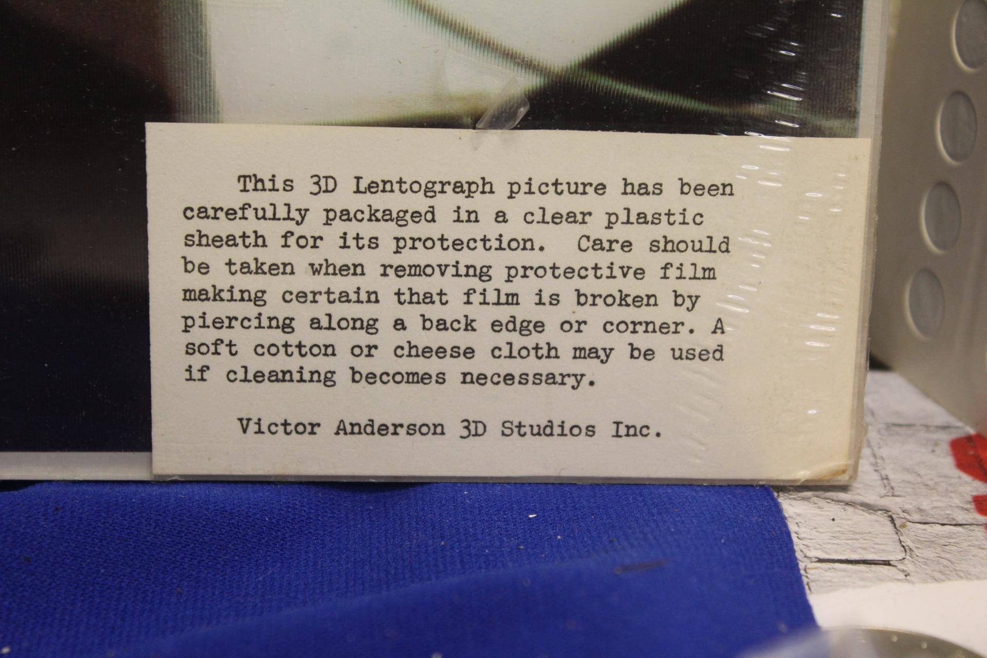 Victor Coleman Anderson | 3D Victor Anderson Lentograph Picture | MutualArt