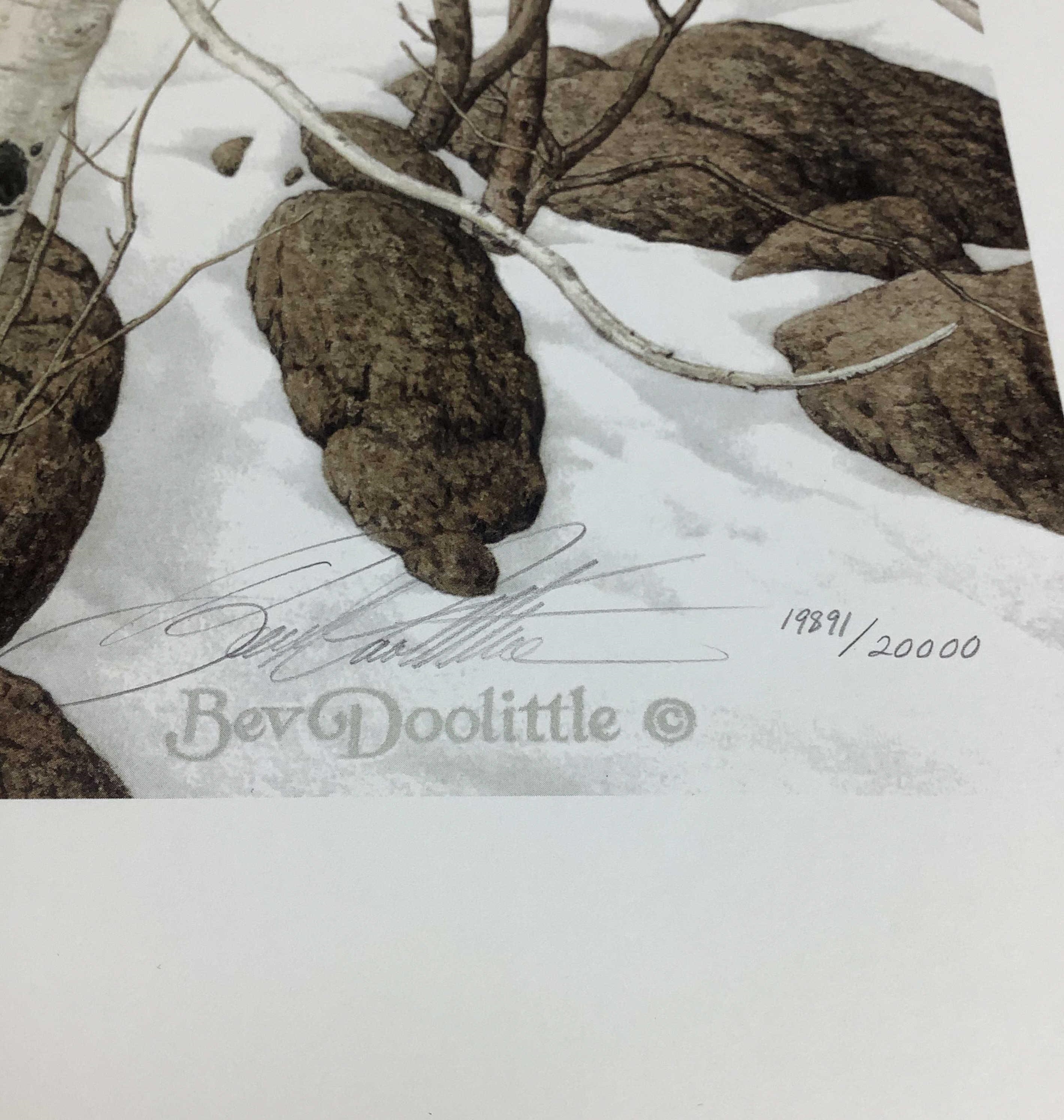 Bev Doolittle | Bev Doolittle Signed & Numbered Limited Edition Print ...