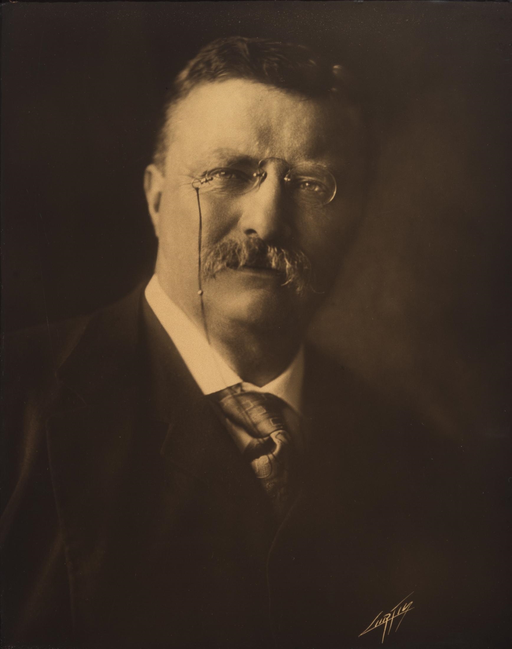 Edward S. Curtis | President Theodore Roosevelt | MutualArt