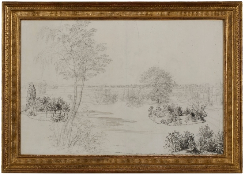 Anton Radl | TREE STUDY | MutualArt