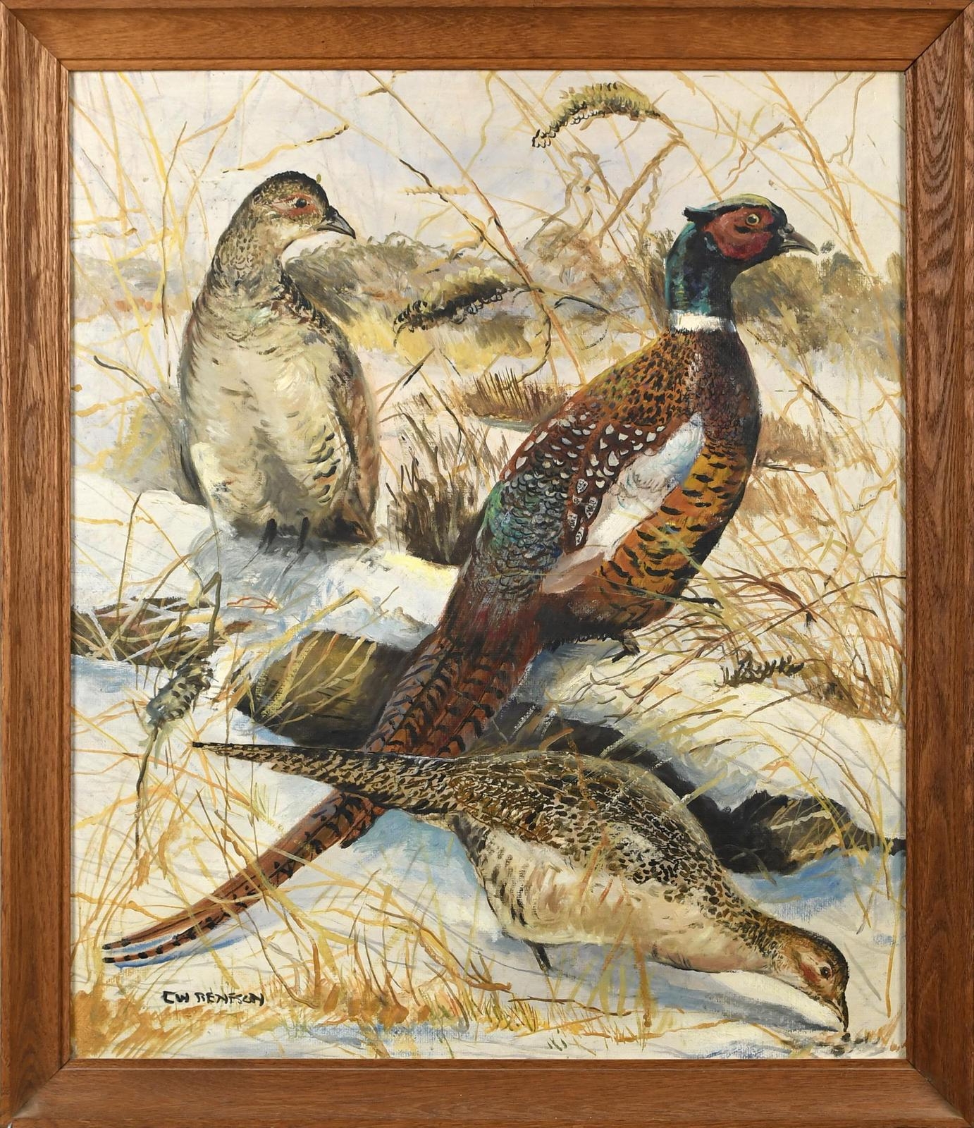 Chet Reneson | Study of male and female pheasants in a winter landscape ...