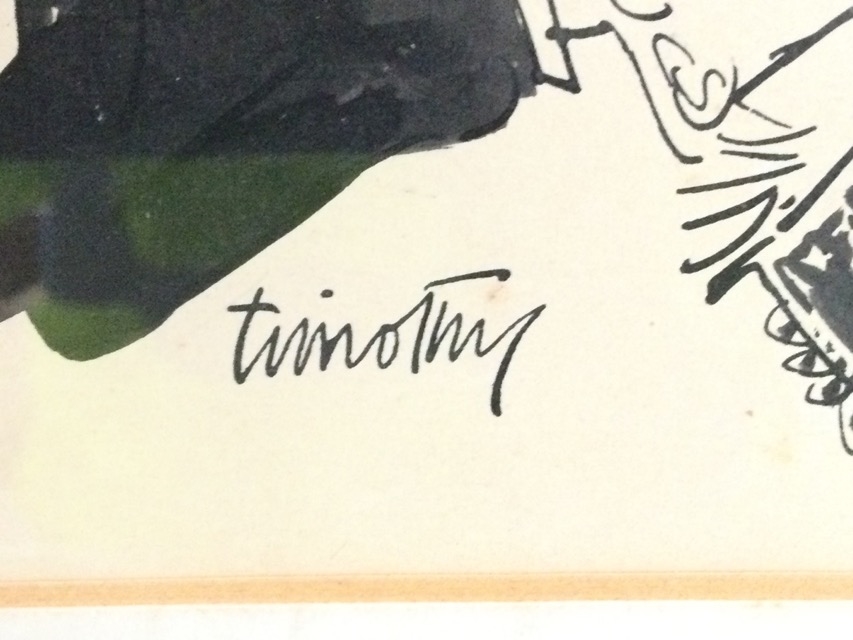 Timothy Birdsall | political cartoon depicting lady emerging from a ...