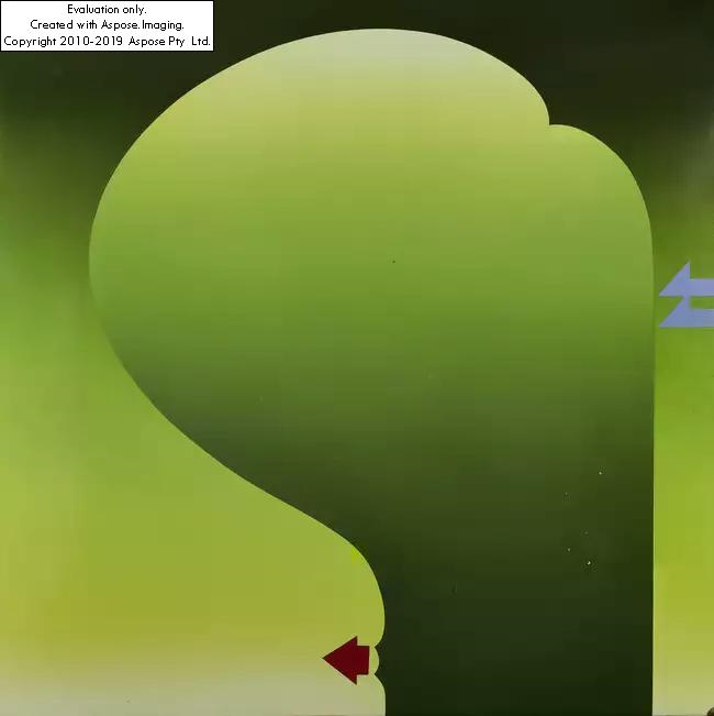 Stefan Knapp | Osmosis (1972) | MutualArt