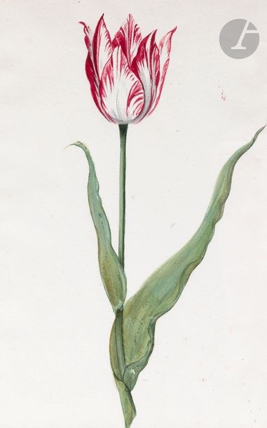 MutualArt.com - The Web's Largest Art Information Service.