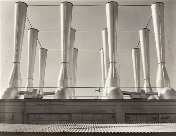 Imogen Cunningham | Calla (1929) | MutualArt