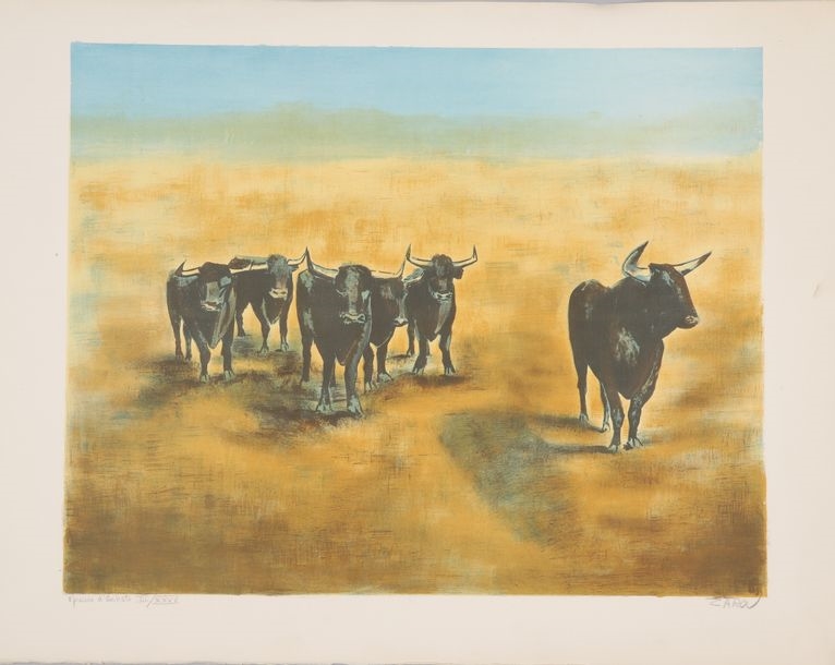 Zarou | Les taureaux de Camargue | MutualArt