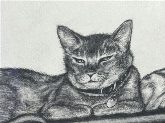 M. Thompson | Signed Christine M. Thompson Pencil Drawing | MutualArt