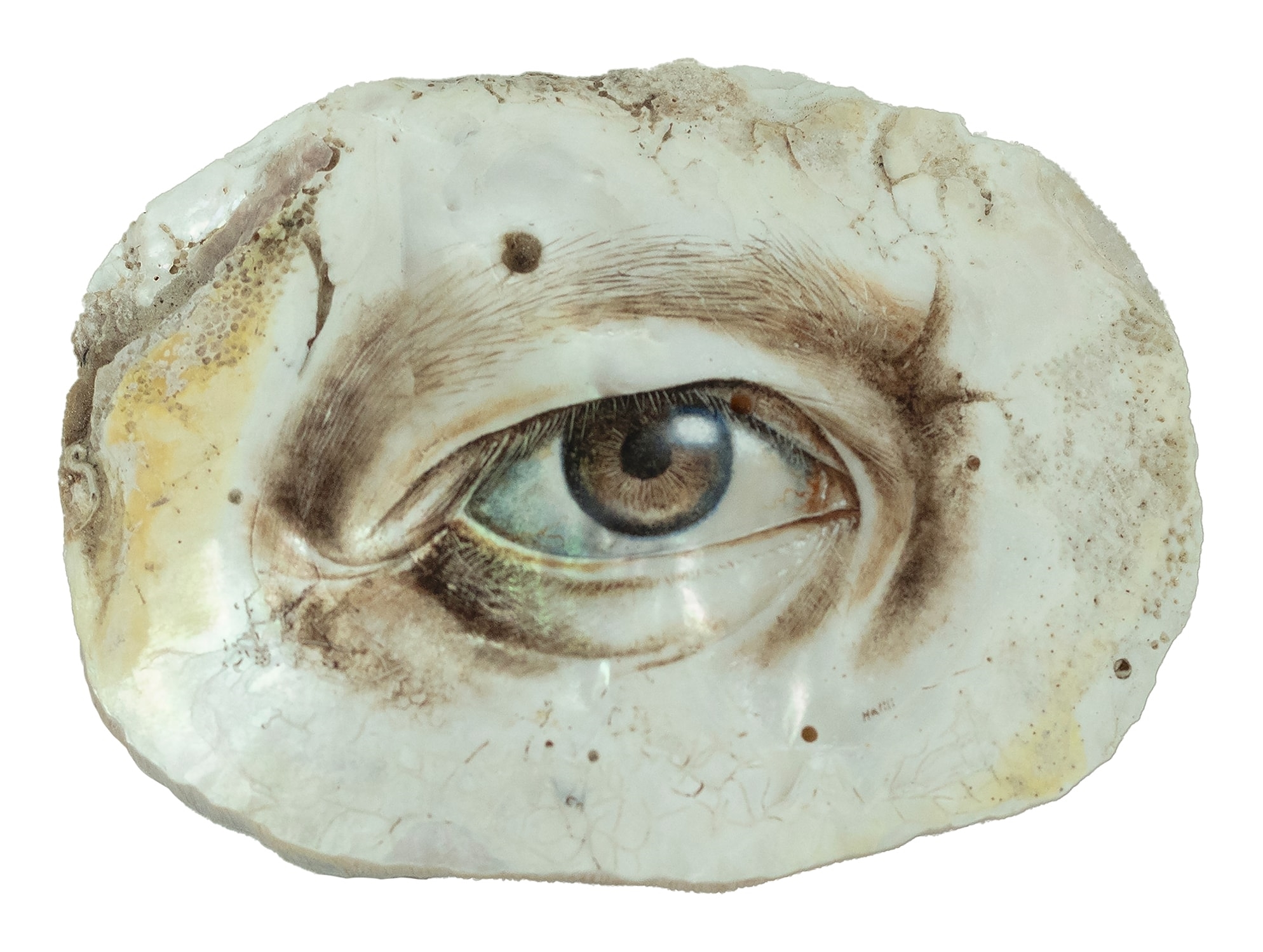 Gregory Halili | Self Portrait on Shell (2023) | MutualArt