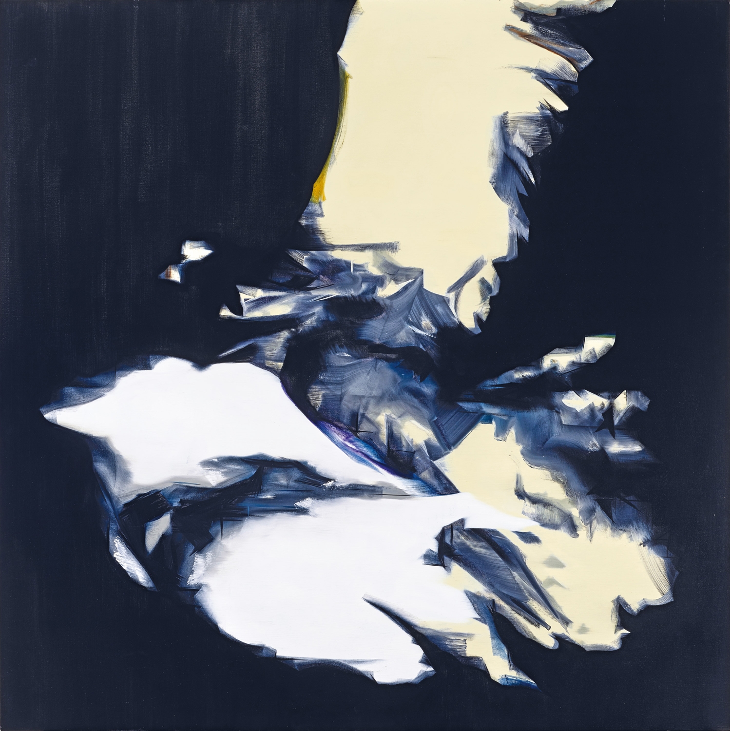 Nigel Milsom | Judo House Part 3 (Bird as Prophet) (2009) | MutualArt