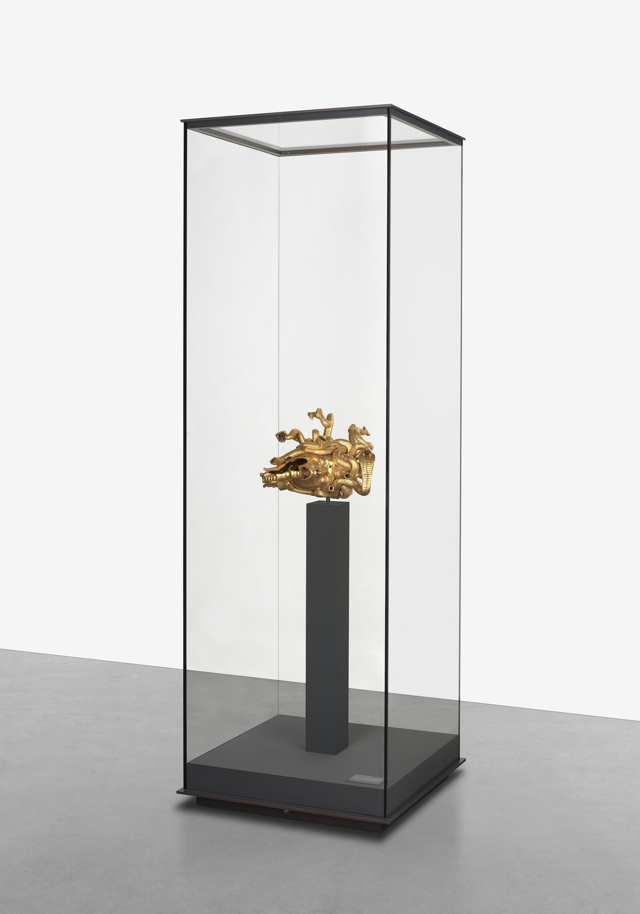 Damien Hirst | The Severed Head of Medusa | MutualArt
