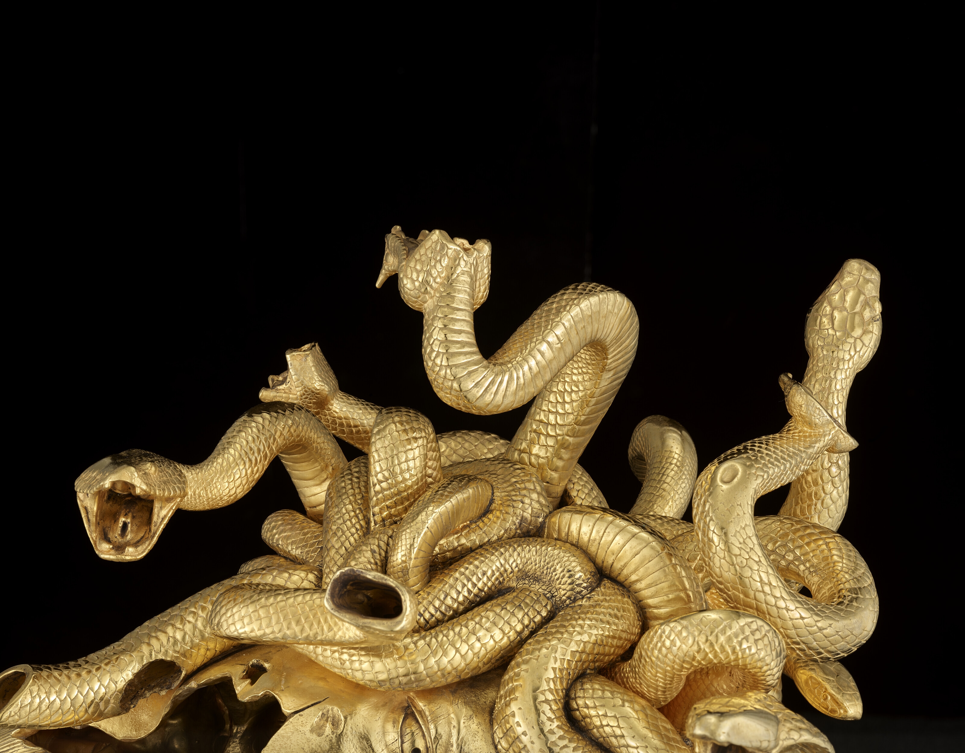Damien Hirst | The Severed Head of Medusa | MutualArt