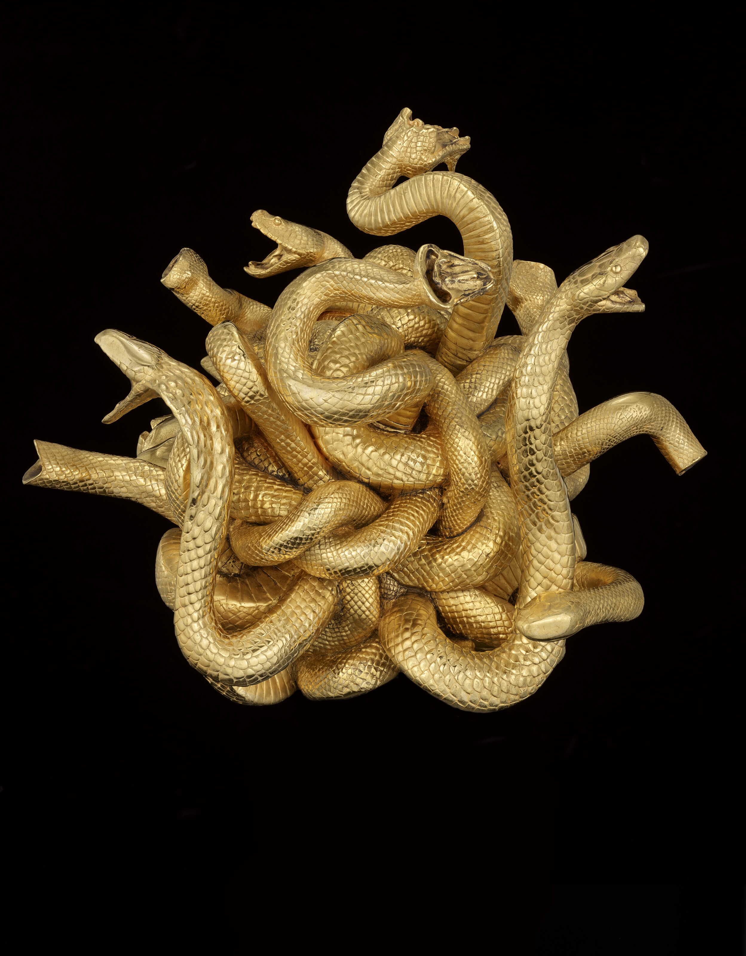 Damien Hirst | The Severed Head of Medusa | MutualArt