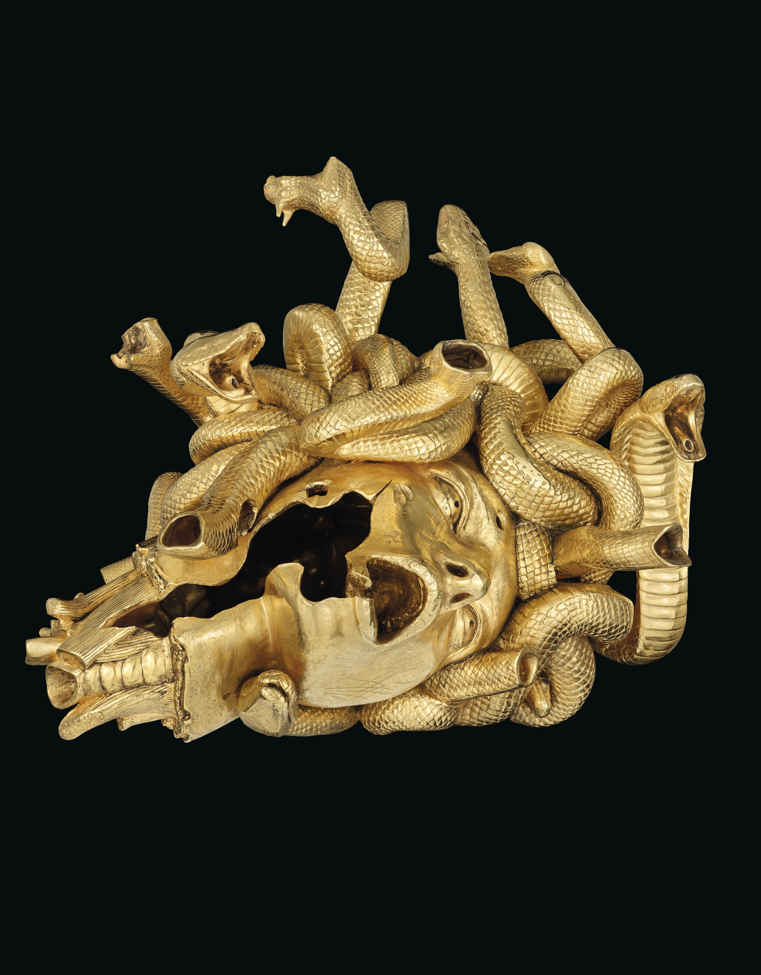Damien Hirst | The Severed Head of Medusa | MutualArt