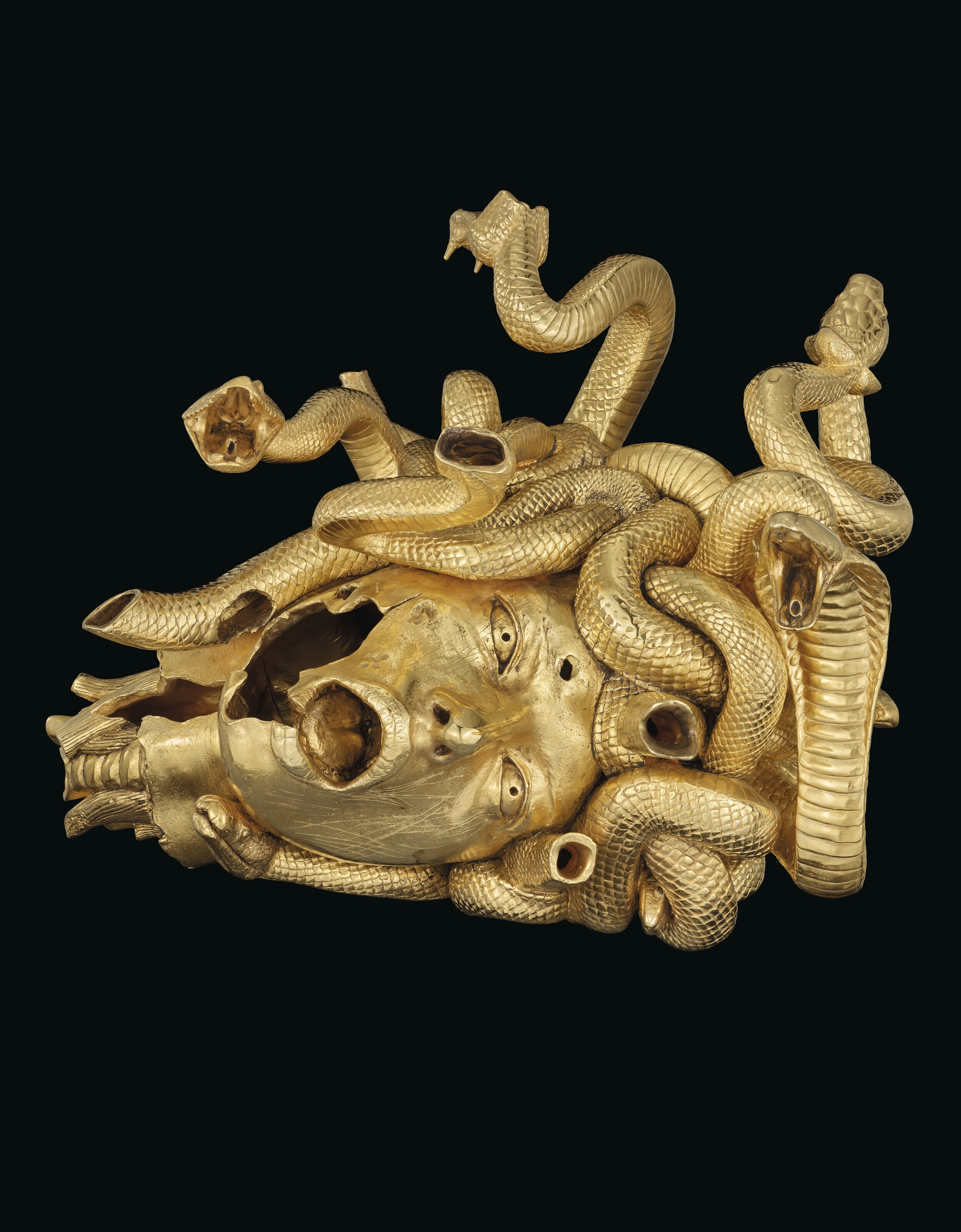 Damien Hirst | The Severed Head of Medusa | MutualArt