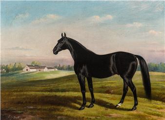 Thomas J. Scott | 17 Artworks at Auction | MutualArt