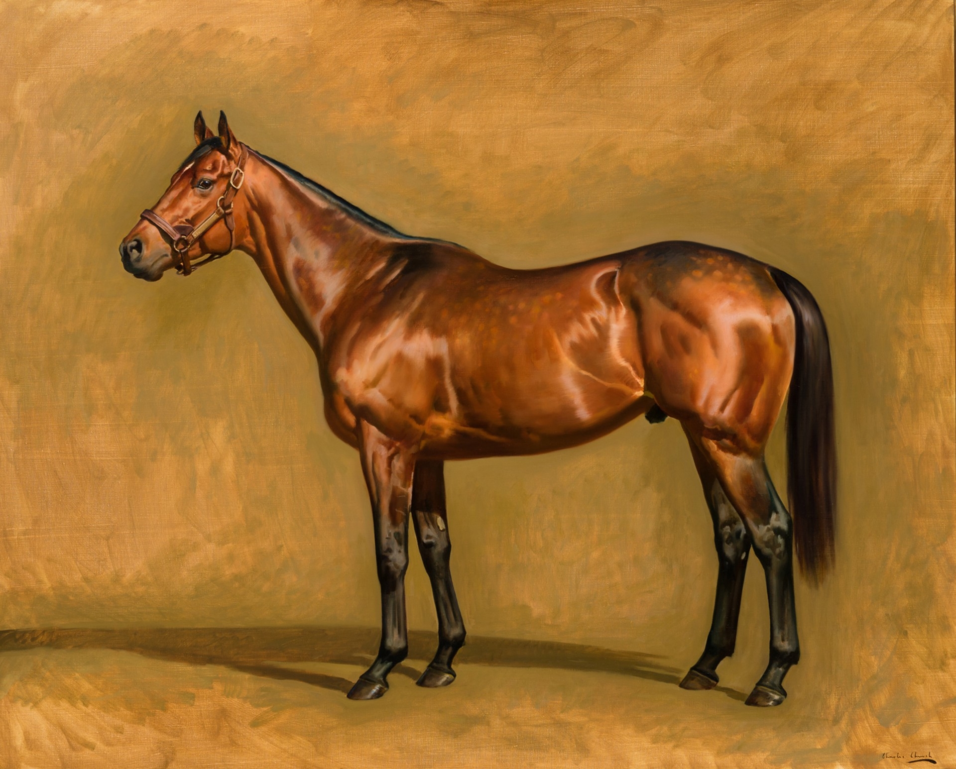 Charles Church | FLIGHTLINE | MutualArt