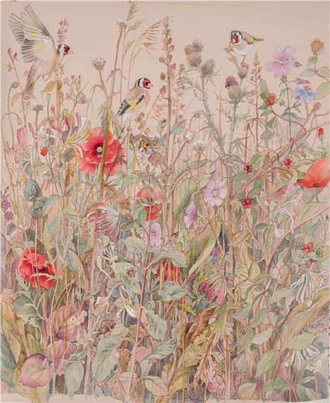 Emma Faull | GOLDFINCH IN SUMMER MEADOW, ENGLAND (2023) | MutualArt