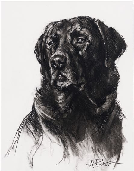 Andre Pater | BLACK LAB STUDY | MutualArt