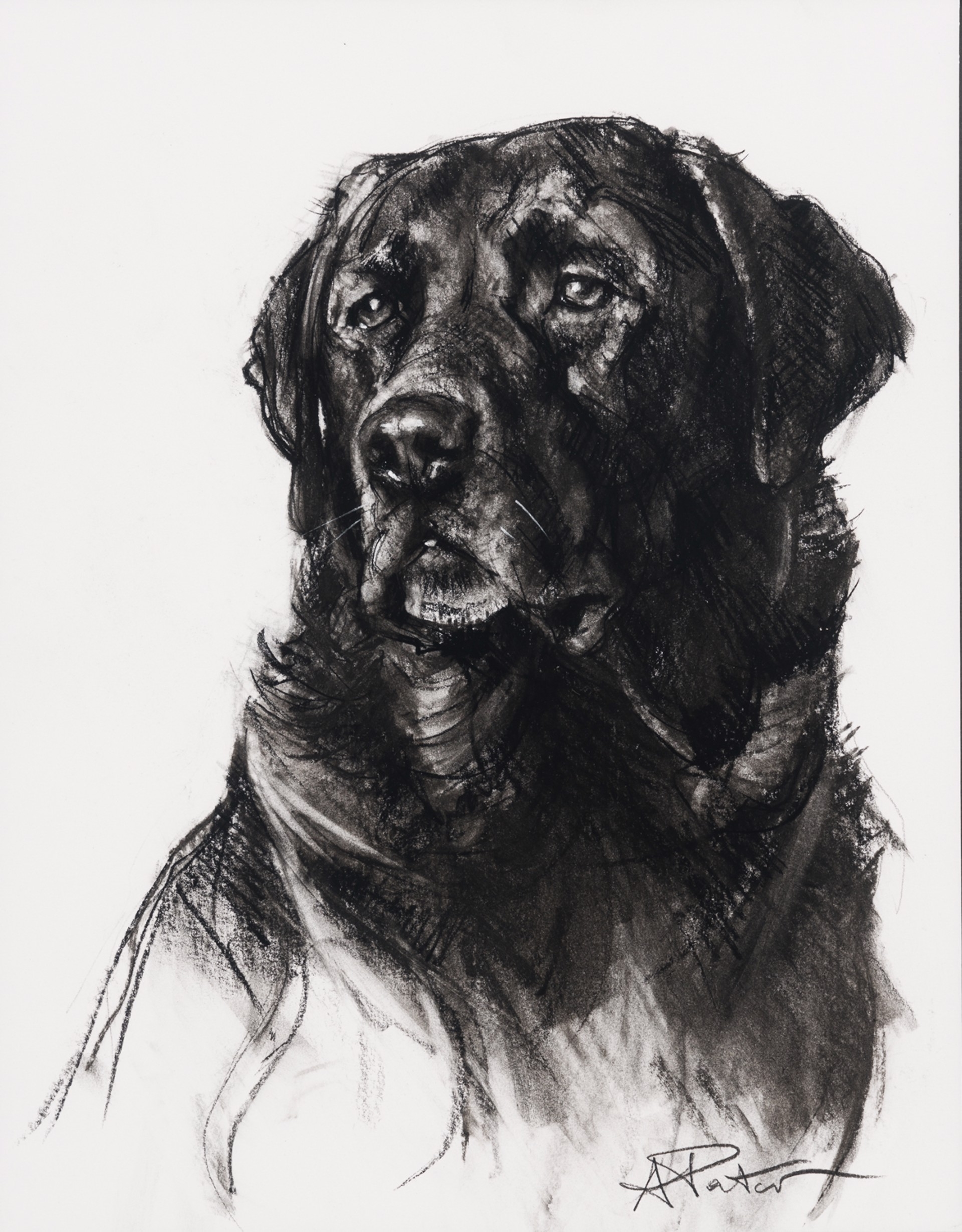 Andre Pater | BLACK LAB STUDY | MutualArt