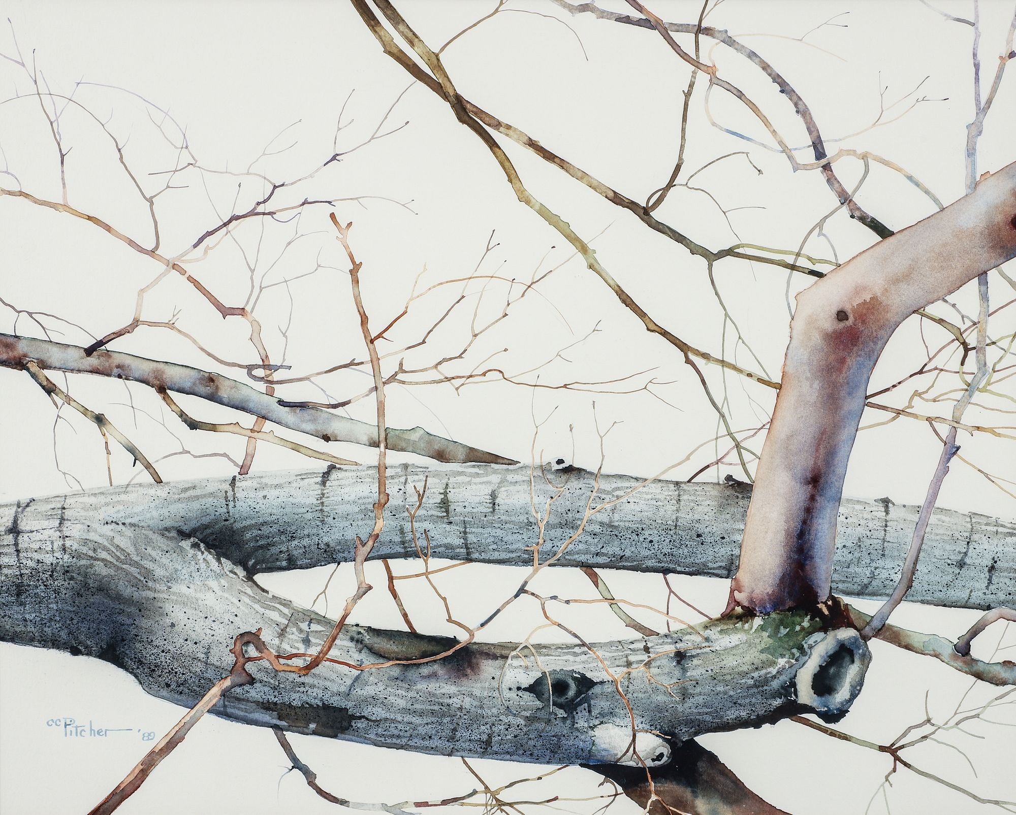 Charles Pitcher | (American/Western PA (1989) | MutualArt