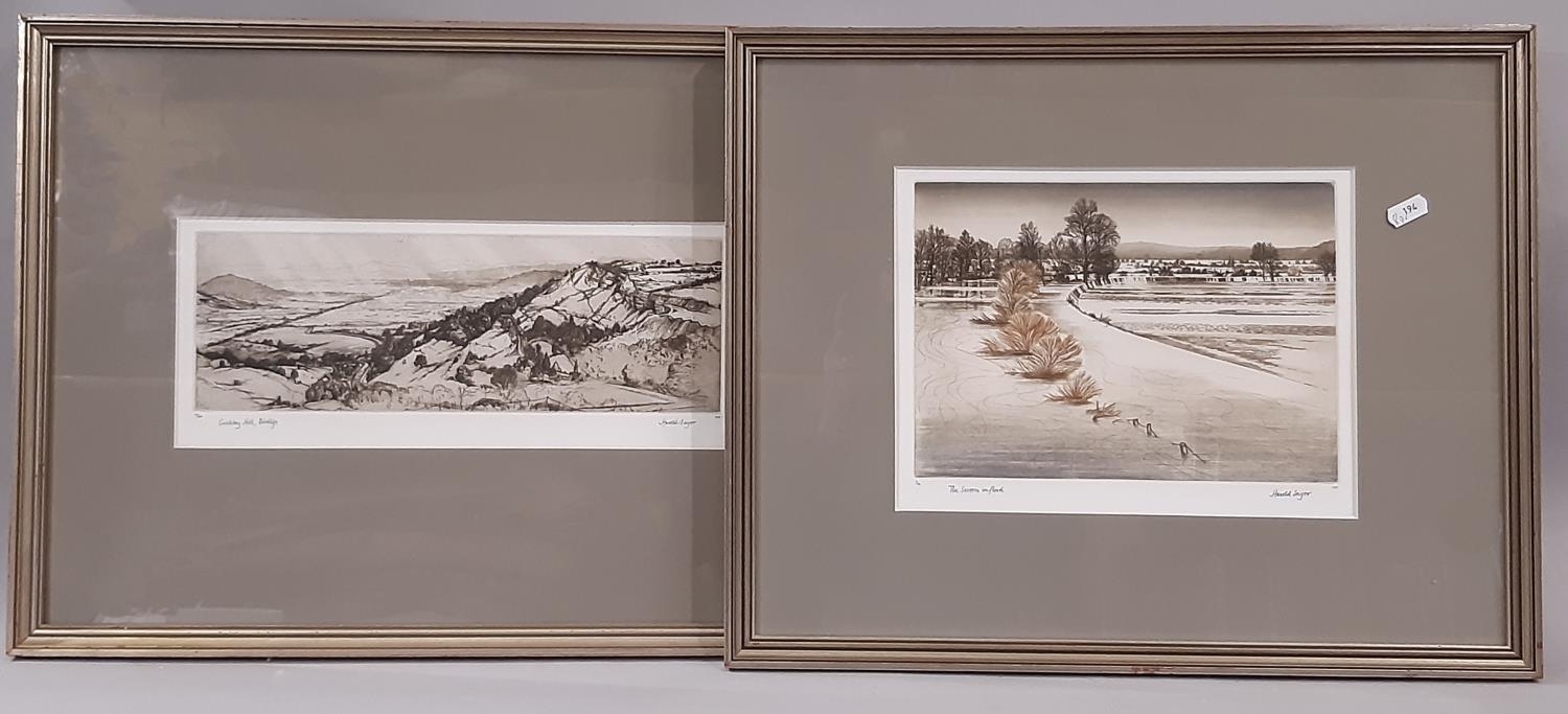 Harold Wilfred Sayer | local / Gloucestershire interest, two limited ...