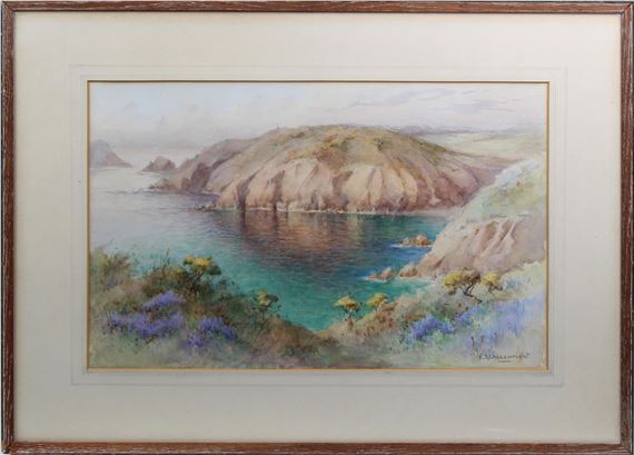Ethel S. Cheeswright | Wild flower cliff view from La Vermandaye, Sark ...