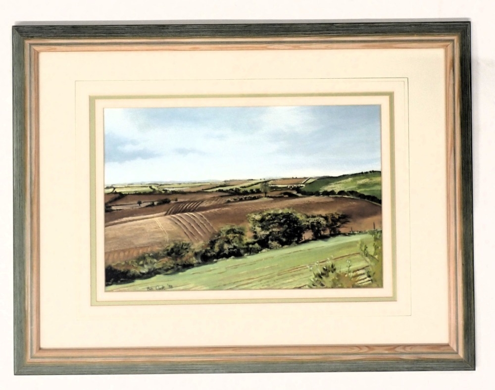 Bobby Cook | Rural landscape | MutualArt