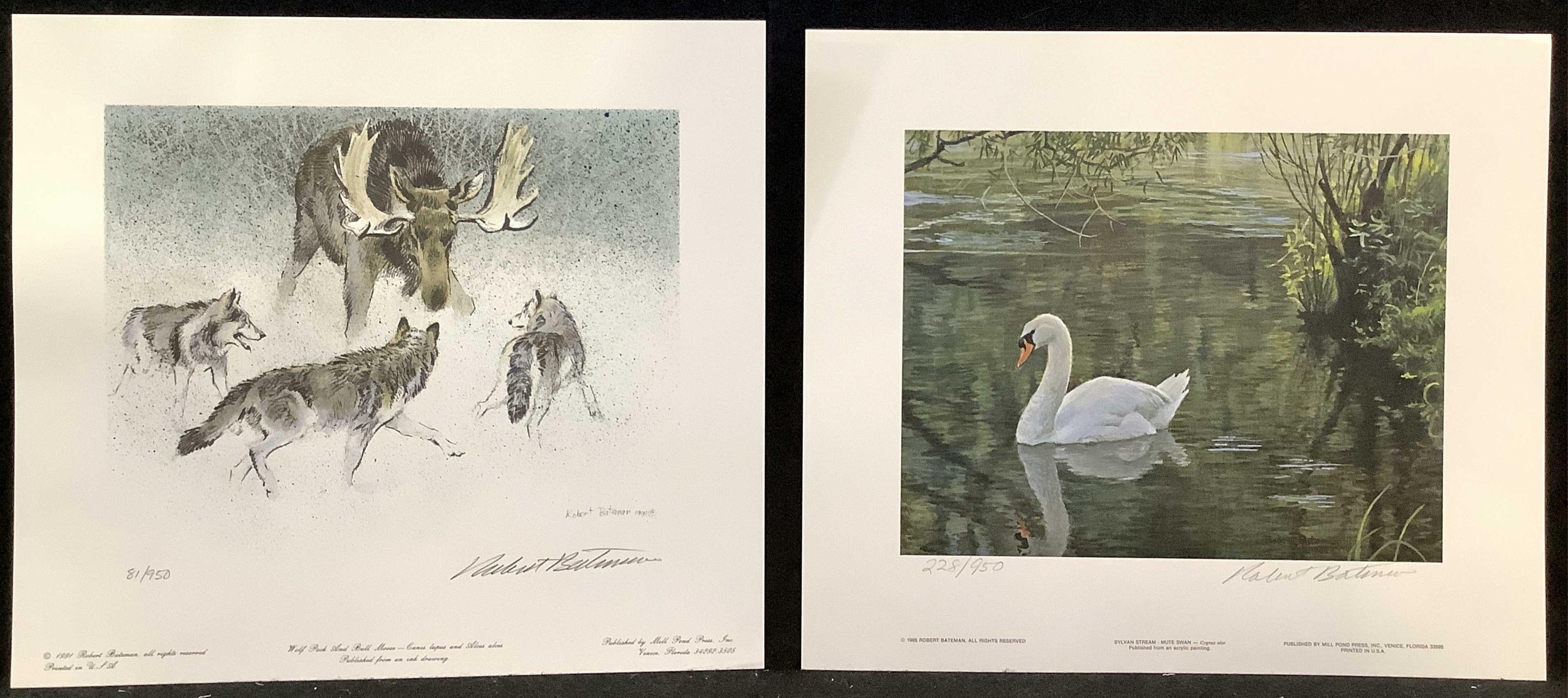 Robert Bateman | Robert Bateman Limited Edition Lithographs | MutualArt