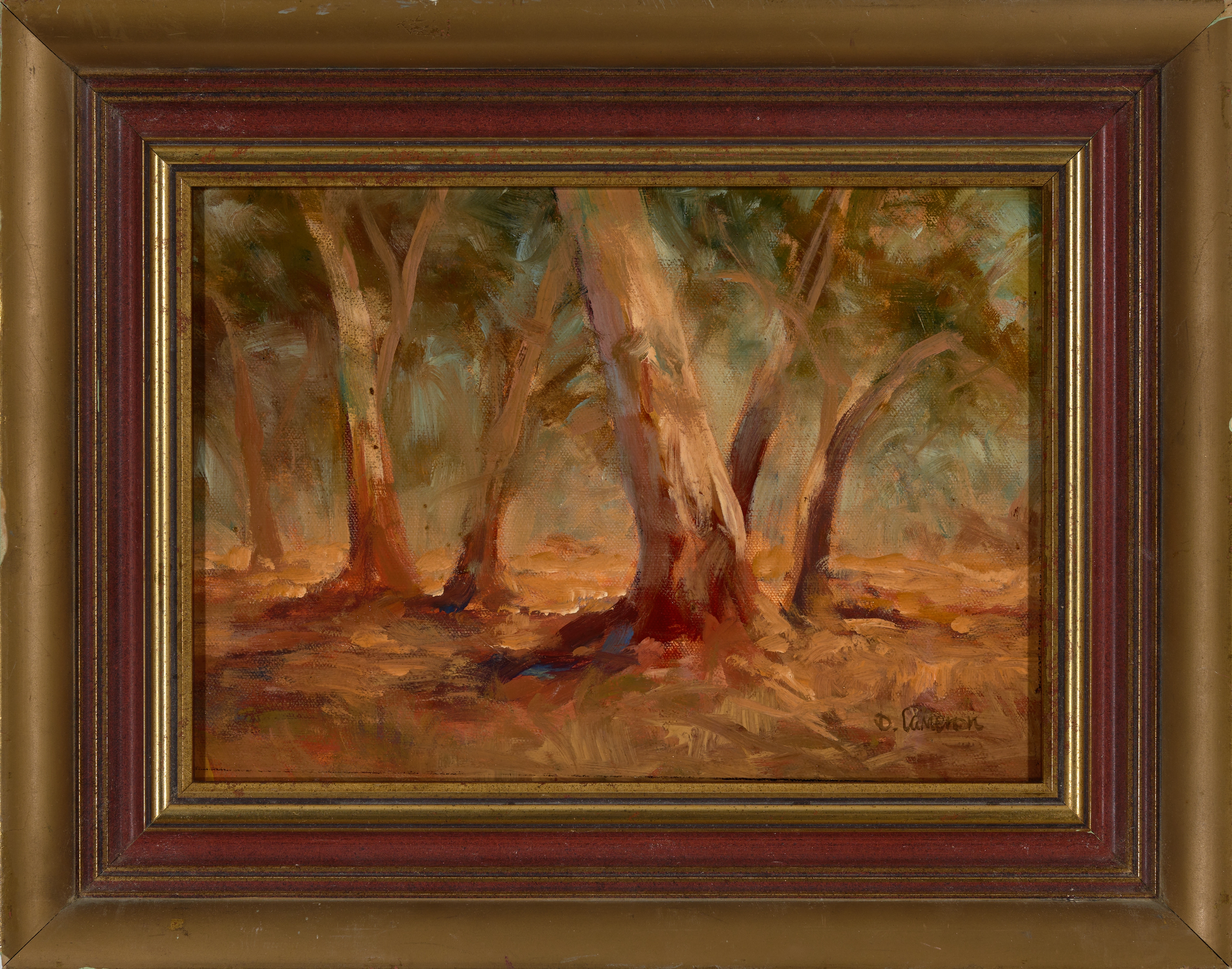 Donald Cameron | Gum Trees | MutualArt
