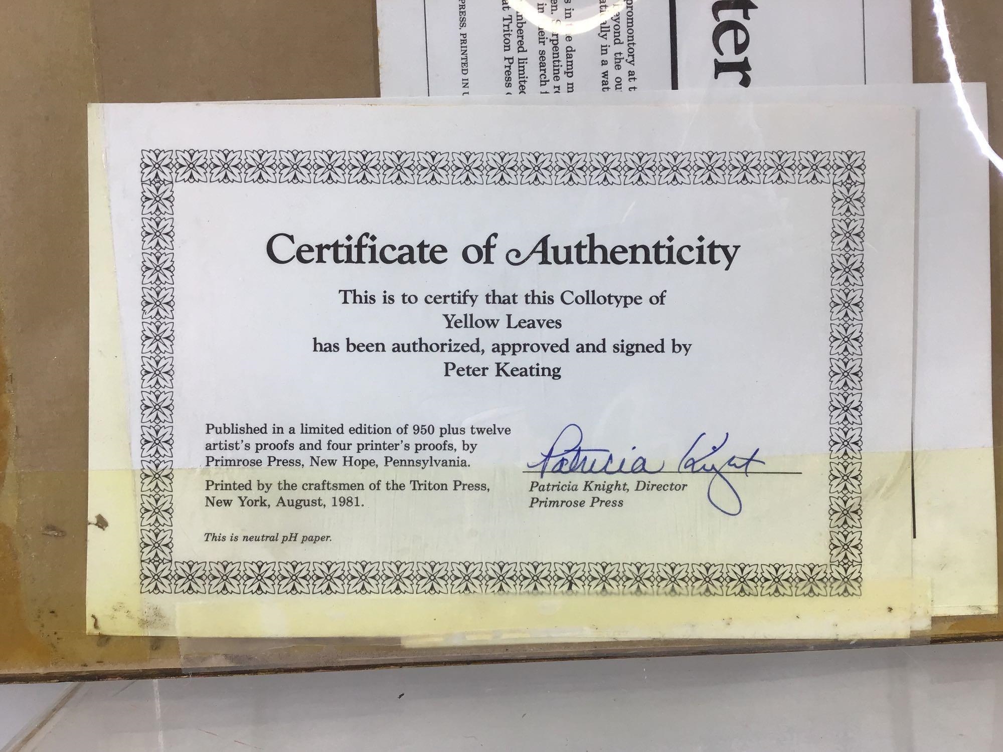 Peter Keating | Includes Certificate of Authenticity | MutualArt