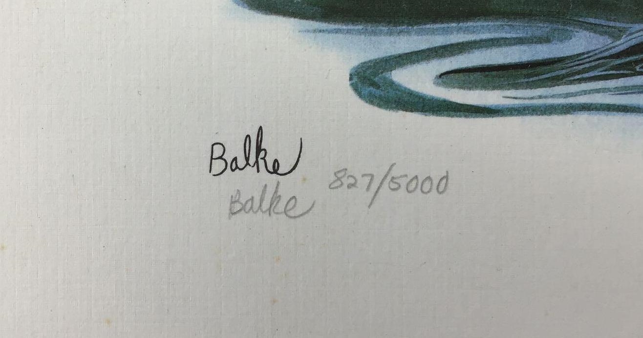 Don Balke | Pintail Duck | MutualArt