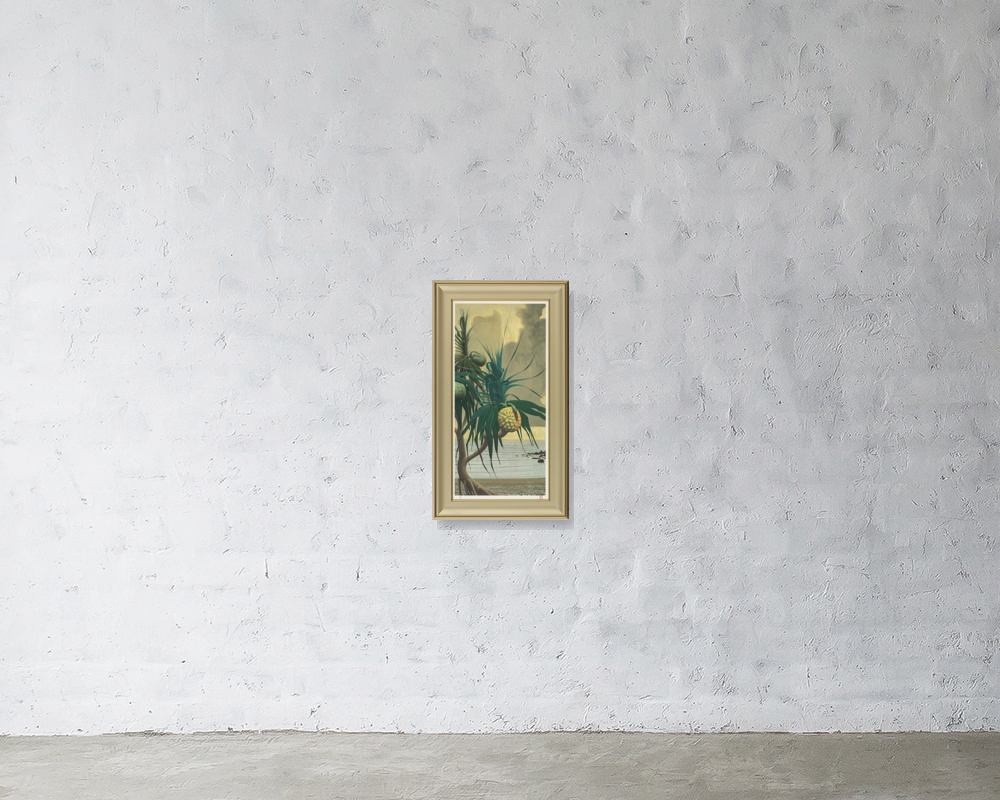 Isson Tanaka | Pandanus tectorius (estampe) | MutualArt