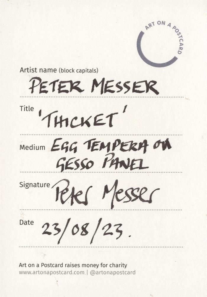 Peter Messer | Thicket | MutualArt