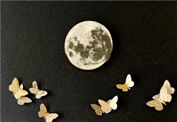 Nikki Ward | 1 Artworks | MutualArt